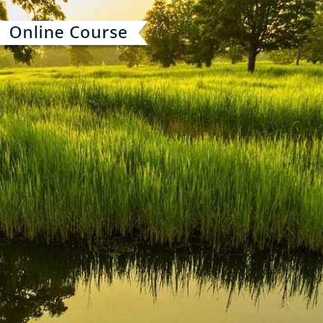 Featured Home Page | Texas A&M AgriLife Learn