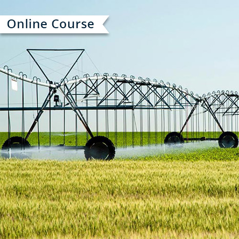 Business Development | Texas A&M AgriLife Learn