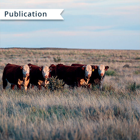 Business Development | Texas A&M AgriLife Learn