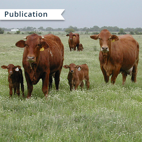 Business Development | Texas A&M AgriLife Learn