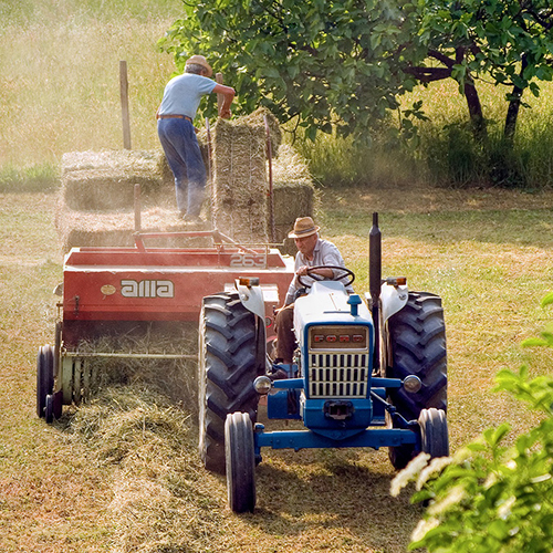 Peer Advisory Groups: Staying Ahead of the Curve | Publications | AgriLife Learn