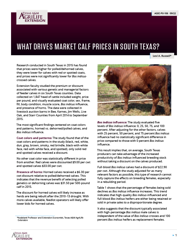 What Drives Market Calf Prices in South Texas? | Publications ...