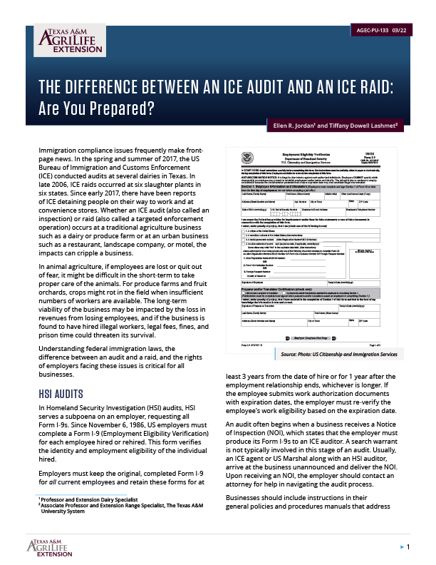 The Difference between an ICE Audit and an ICE Raid: Are You Prepared ...