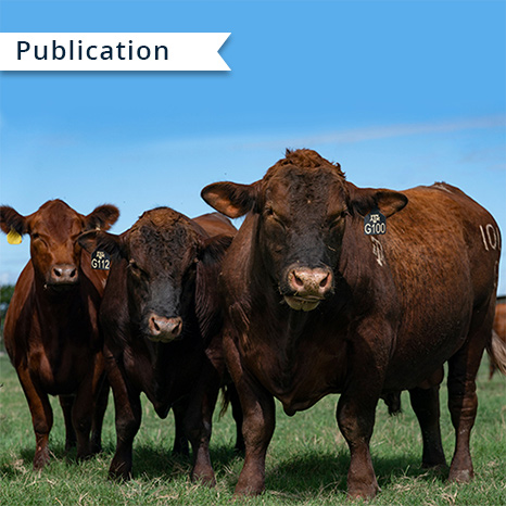 Business Development | Texas A&M AgriLife Learn