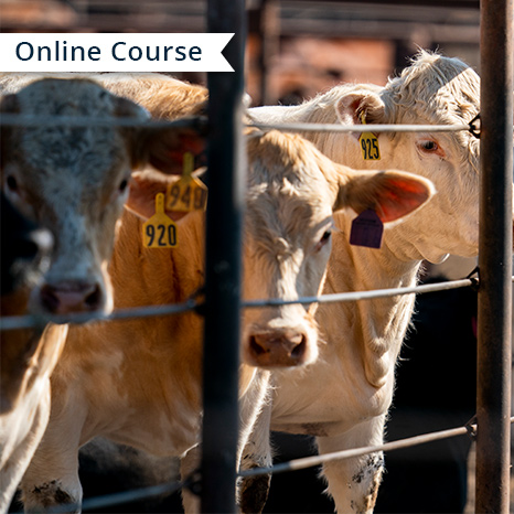 Featured Home Page | Texas A&M AgriLife Learn