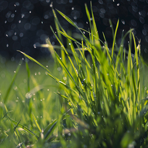 Living with an Aerobic Treatment Unit and Spray Field | Publications ...