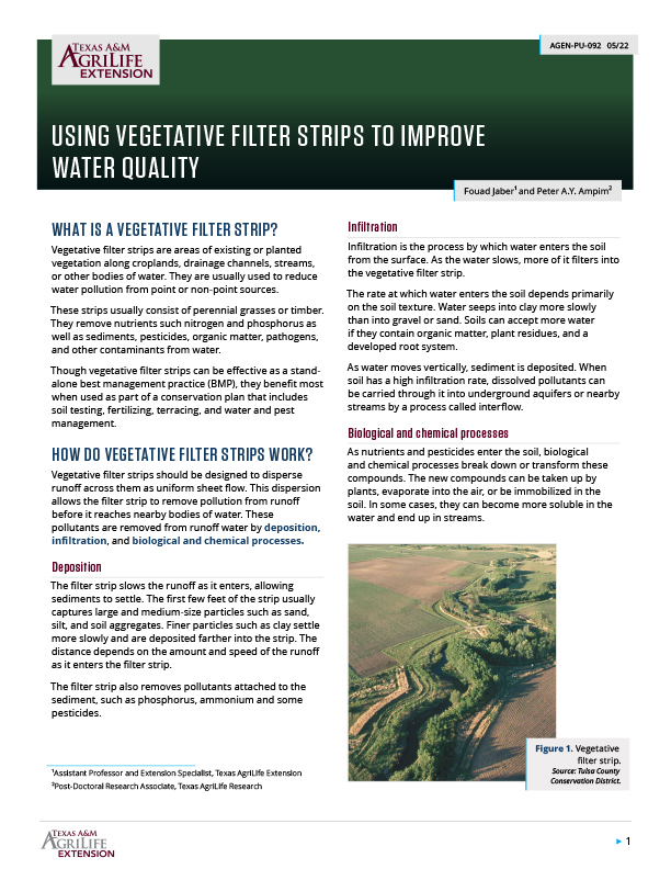 Using Vegetative Filter Strips to Improve Water Quality | Publications ...