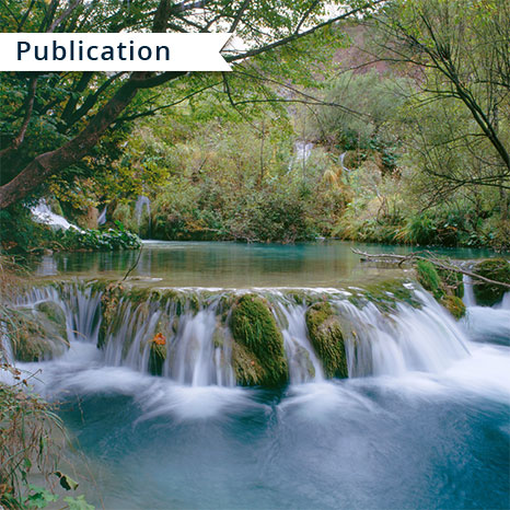 How we protect streams, rivers, and lakes | Publications | AgriLife Learn