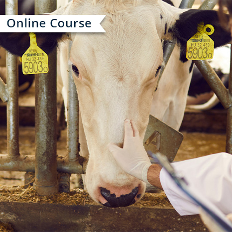 Veterinary Science Certificate Program (VSCP) | Texas A&M AgriLife Learn