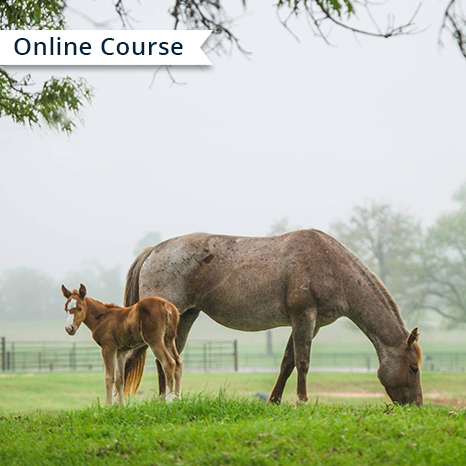 Featured Home Page | Texas A&M AgriLife Learn