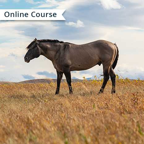 Animals & Livestock | Texas A&M AgriLife Learn