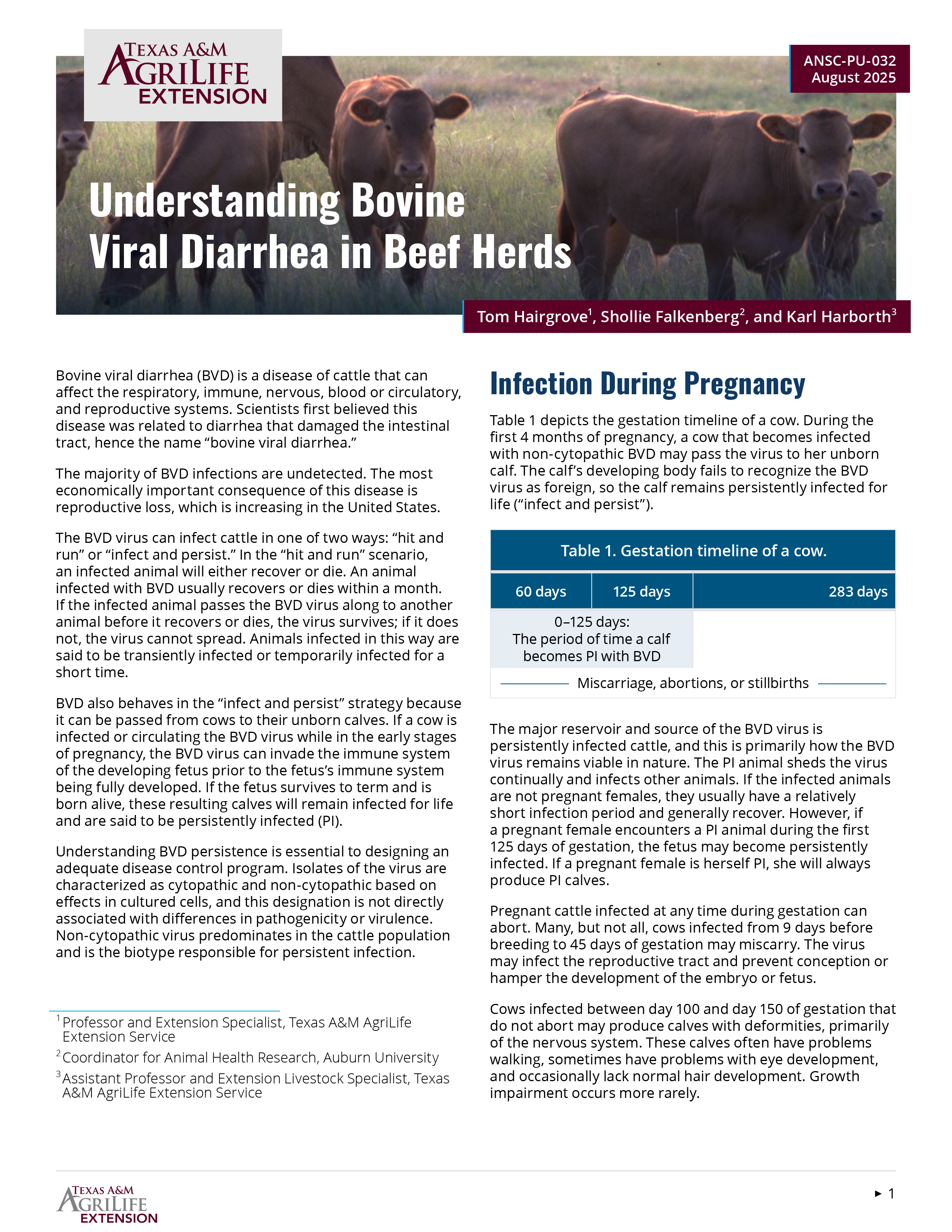 Understanding Bovine Viral Diarrhea in Beef Herds | Publications ...