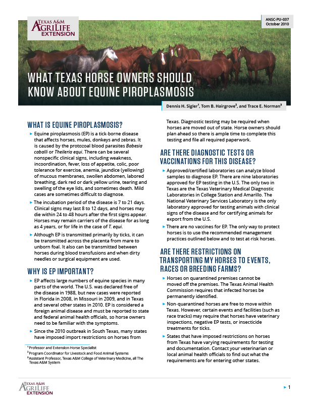 What Texas Horse Owners Should Know about Equine Piroplasmosis ...