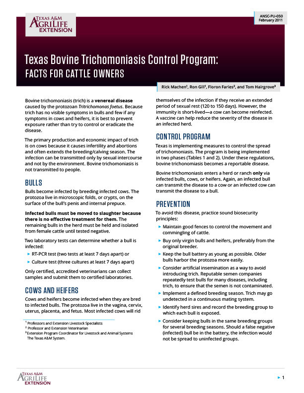 Texas Bovine Trichomoniasis Control Program: Facts for Cattle Owners ...