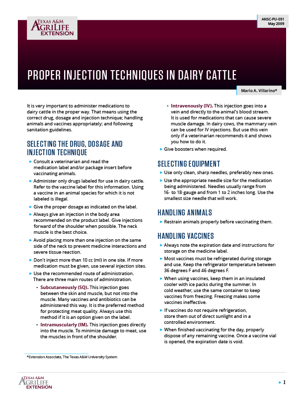 Proper Injection Techniques in Dairy Cattle | Publications | AgriLife Learn