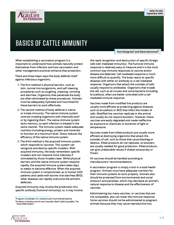 Basics of Cattle Immunity | Publications | AgriLife Learn