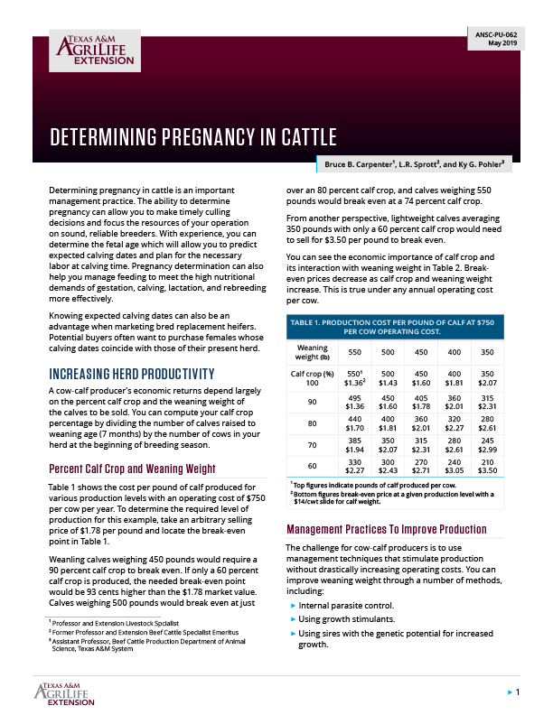 Determining Pregnancy in Cattle | Publications | AgriLife Learn