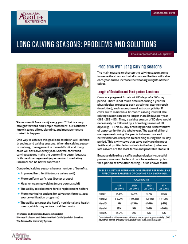 Long Calving Seasons: Problems and Solutions | Publications | AgriLife ...