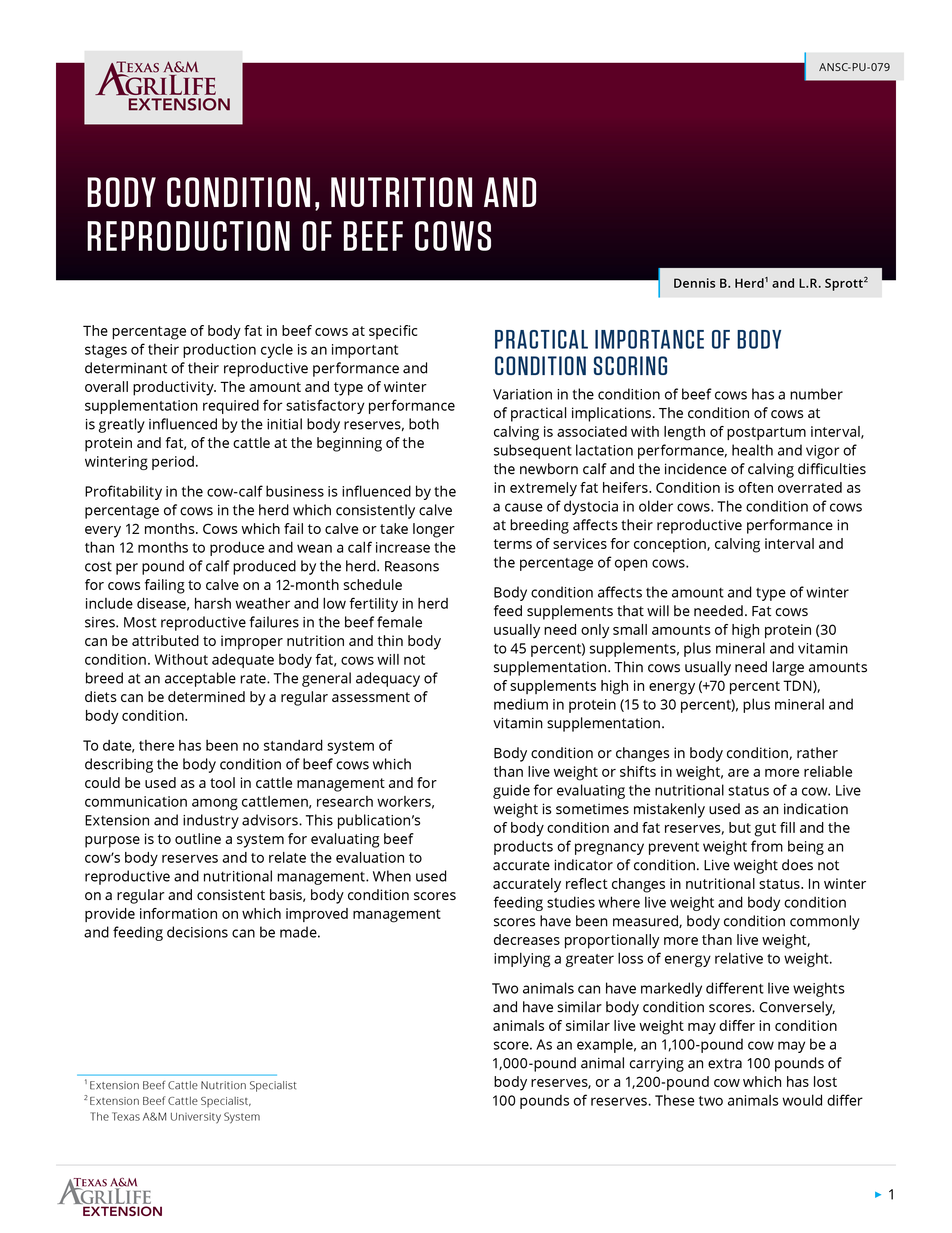 Body Condition Nutrition And Reproduction Of Beef Cows Publications