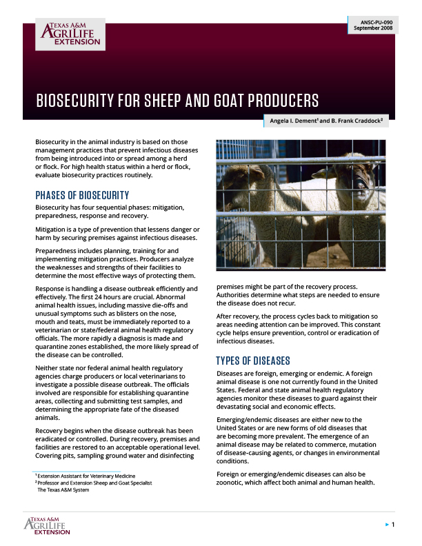 Biosecurity for Sheep and Goat Producers | Publications | AgriLife Learn