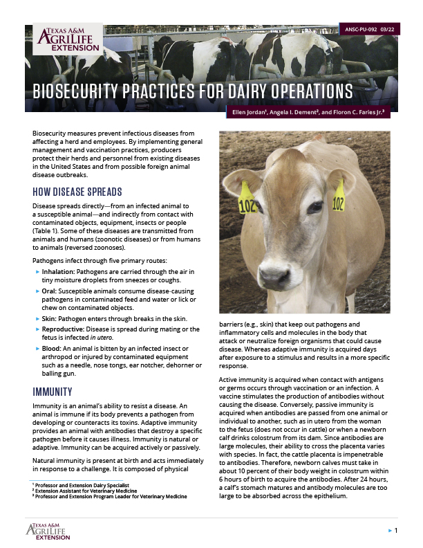 Biosecurity Practices for Dairy Operations | Publications | AgriLife Learn