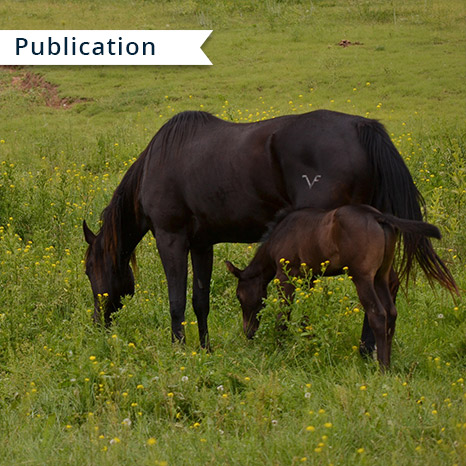 Animals & Livestock | Texas A&M AgriLife Learn