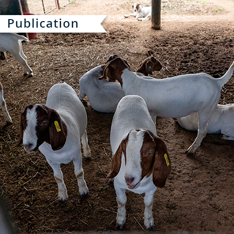 Animals & Livestock | Texas A&M AgriLife Learn