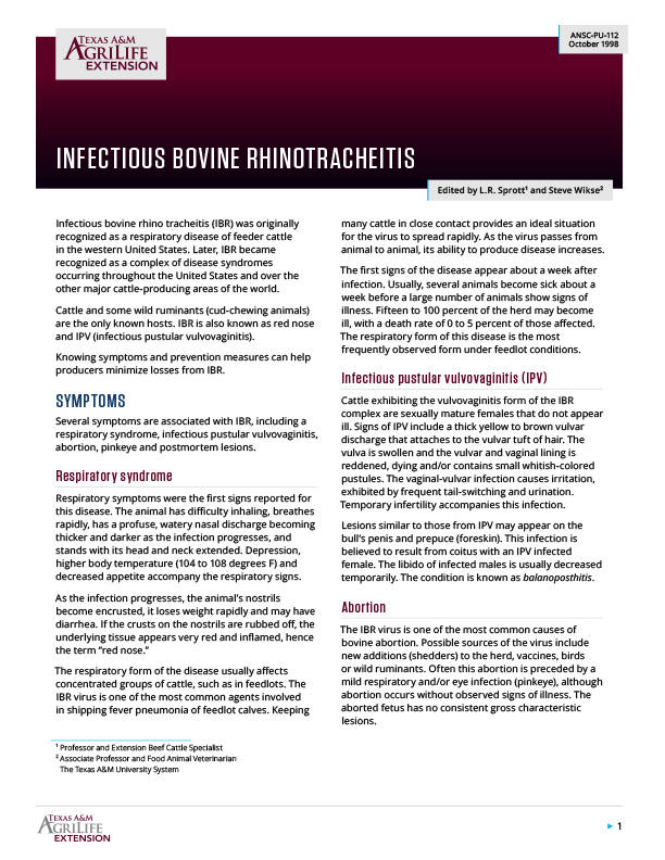 Infectious Bovine Rhinotracheitis | Publications | AgriLife Learn