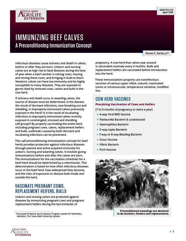 Immunizing Beef Calves: A Preconditioning Immunization Concept ...