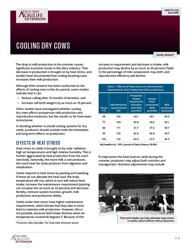 Cooling Dry Cows | Publications | AgriLife Learn