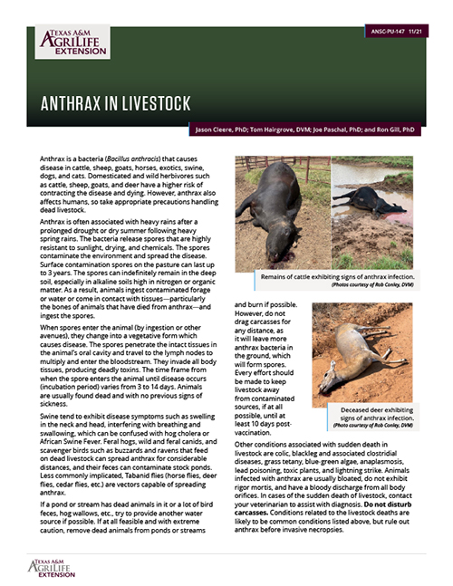 Anthrax in Livestock | Publications | AgriLife Learn