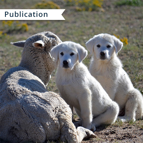 Animals & Livestock | Texas A&M AgriLife Learn