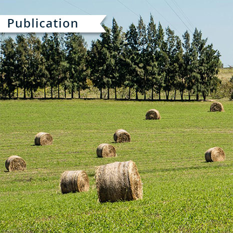 Business Development | Texas A&M AgriLife Learn