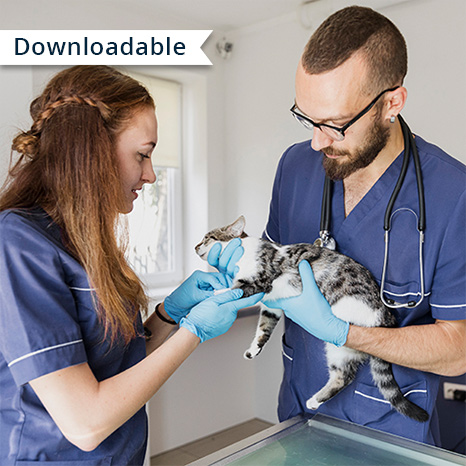 Veterinary Science Certificate Program (VSCP) | Texas A&M AgriLife Learn