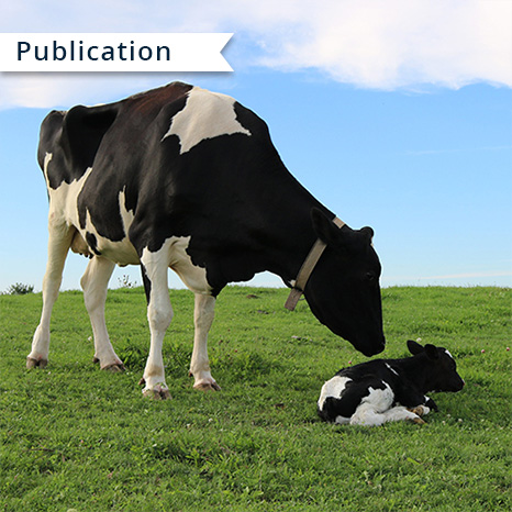 Animals & Livestock | Texas A&M AgriLife Learn