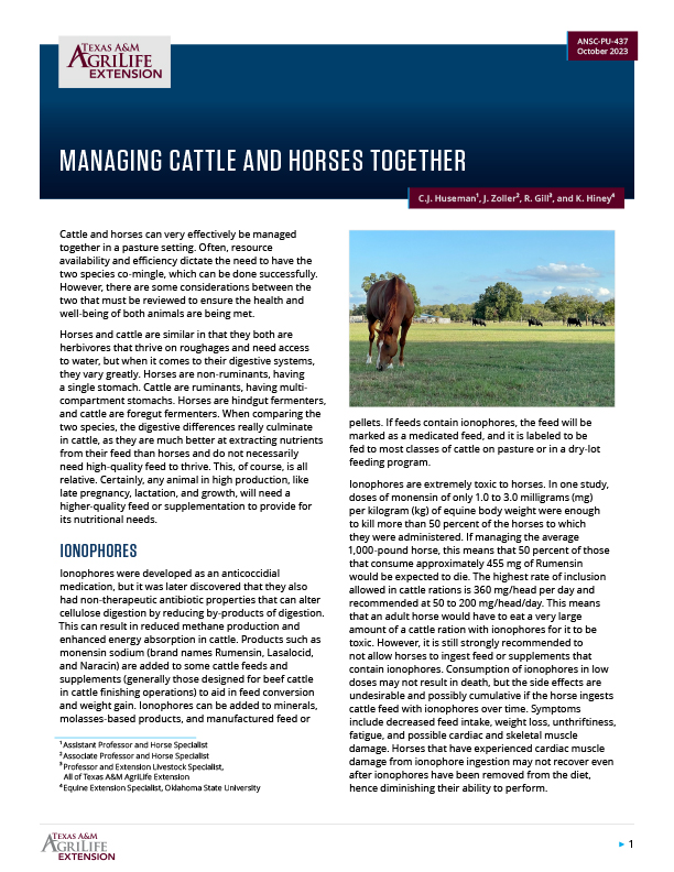 Managing Cattle and Horses Together | Publications | AgriLife Learn