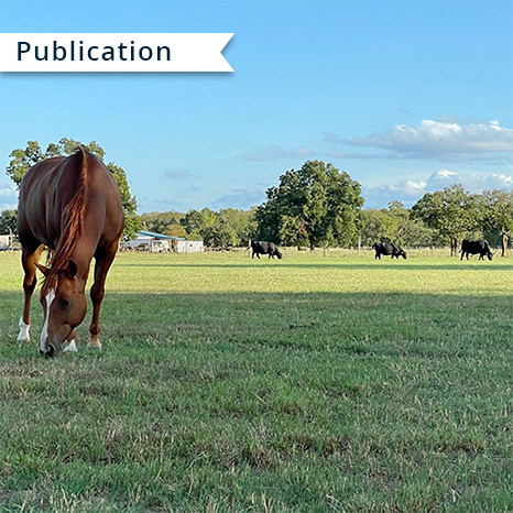 Animals & Livestock | Texas A&M AgriLife Learn