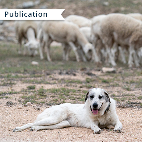 Animals & Livestock | Texas A&M AgriLife Learn