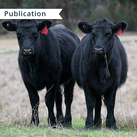 Animals & Livestock | Texas A&M AgriLife Learn