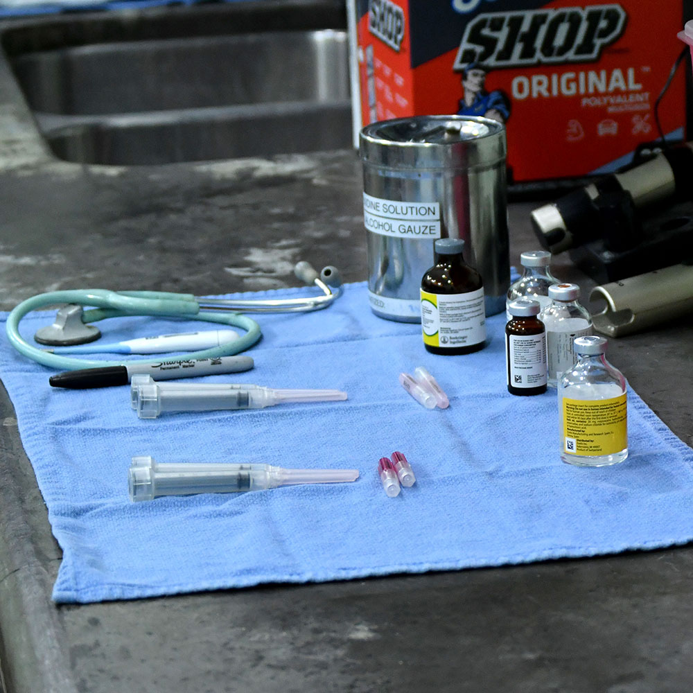 Veterinary Science CDE Test Bank 2026 | Publications | AgriLife Learn