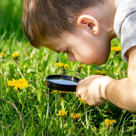 Science and Technology for Preschool | Courses | AgriLife Learn