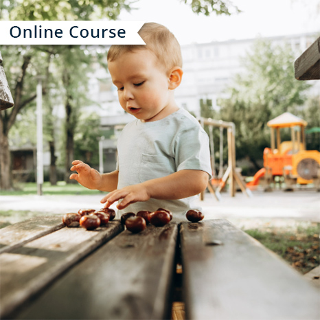 Courses | Texas A&M AgriLife Learn