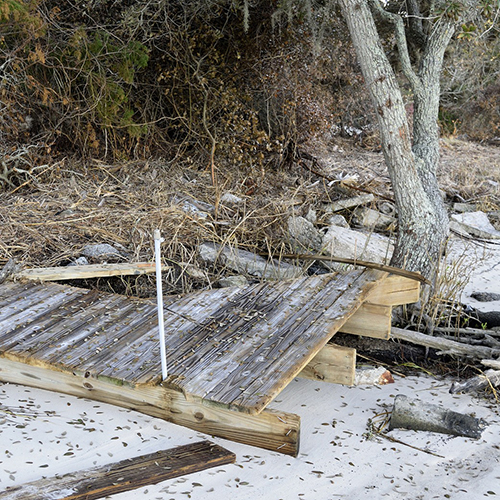 Clearing Debris from Land | Publications | AgriLife Learn