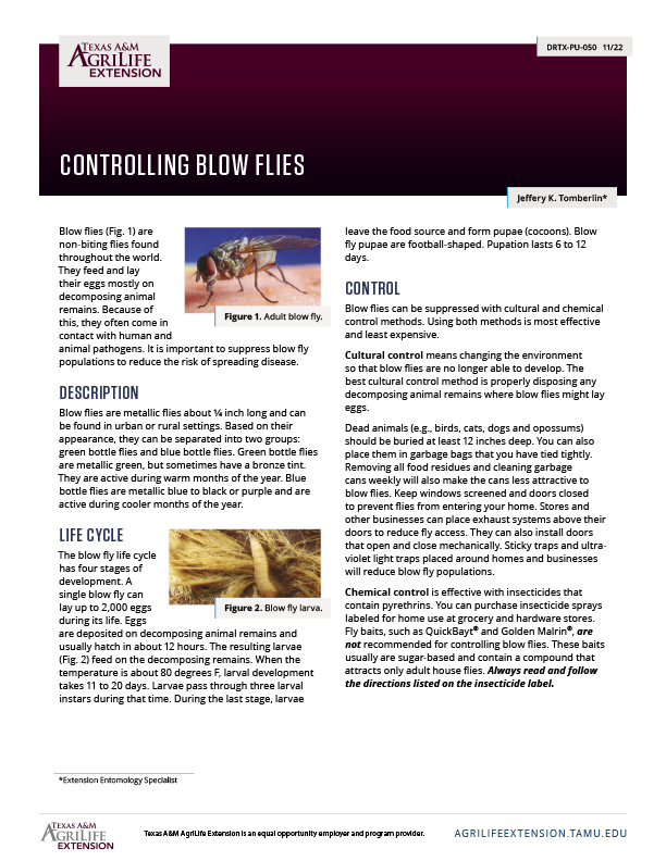Controlling Blow Flies | Publications | AgriLife Learn