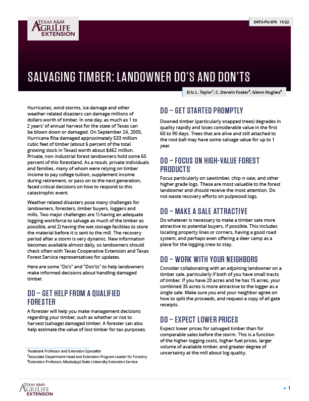 Salvaging Timber: Landowner Do's and Don'ts | Publications | AgriLife Learn