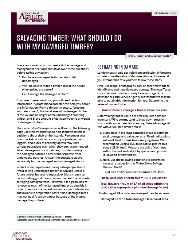 Salvaging Timber: What should I do with my damaged timber ...