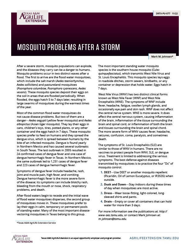 Mosquito Problems After a Storm | Publications | AgriLife Learn