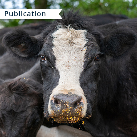 Animals & Livestock | Texas A&M AgriLife Learn