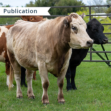 Animals & Livestock | Texas A&M AgriLife Learn