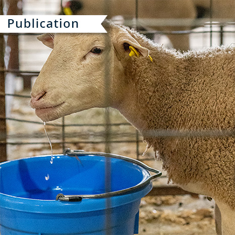 Animals & Livestock | Texas A&M AgriLife Learn